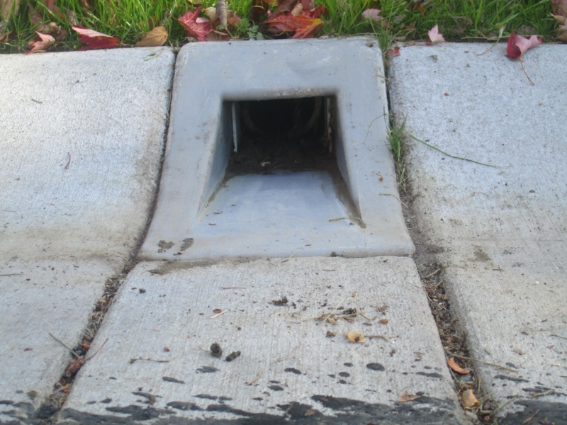 Curb Drains | Through The Curb Drains - Rotomolding | Rotational ...